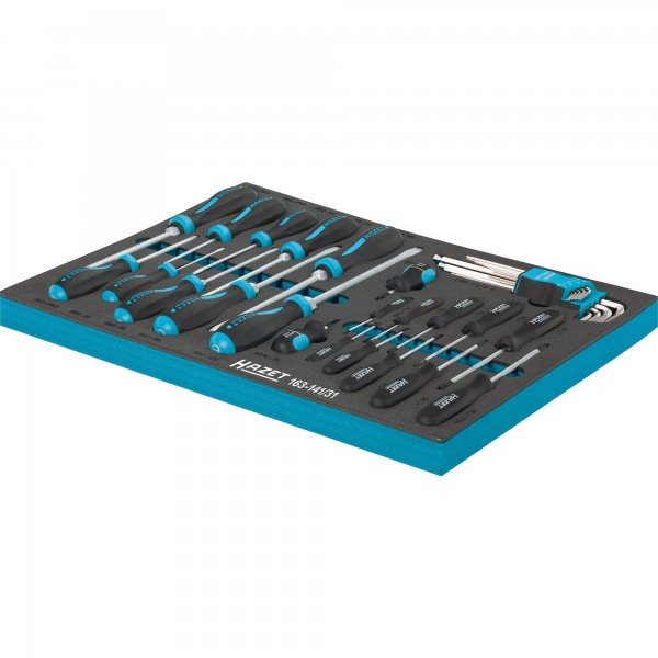 Wholesale Hazet 31 Pce Screwdriver Set 163-141/31 Modular Insert Tray Online | OzSwiss European ...