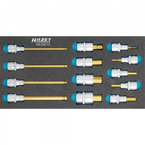 Hazet 13 Pce 1/2" Hex Screwdriver Socket Set 163-220/13 Modular Insert Tray For Sale Online ...