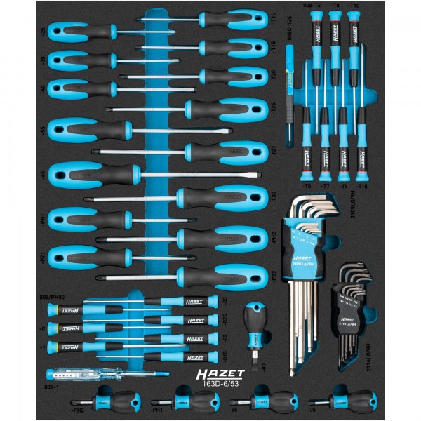 Wholesale Hazet 53Pce Screwdriver Set 163D-6/53 Modular Insert Tray Online | OzSwiss European Tools