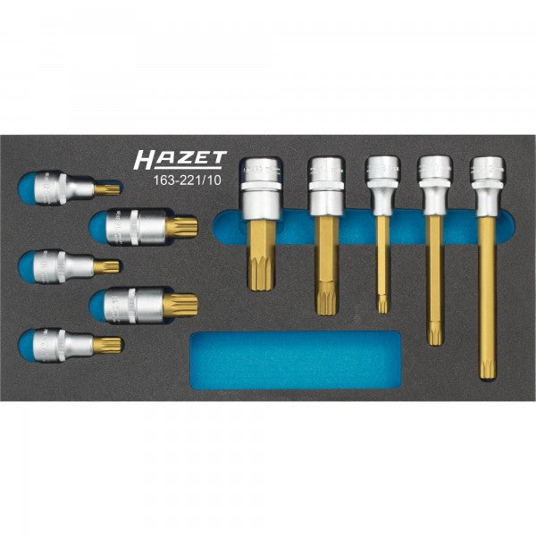 Wholesale Hazet 10 Pce Screwdriver Socket Set 163-221/10 Modular Insert Tray Online | OzSwiss ...