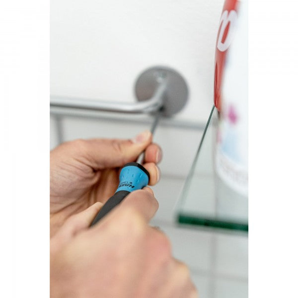 Hazet 6 Pce PH & SL Screwdriver Set 810/6 For Sale Online – OZSWISS ...